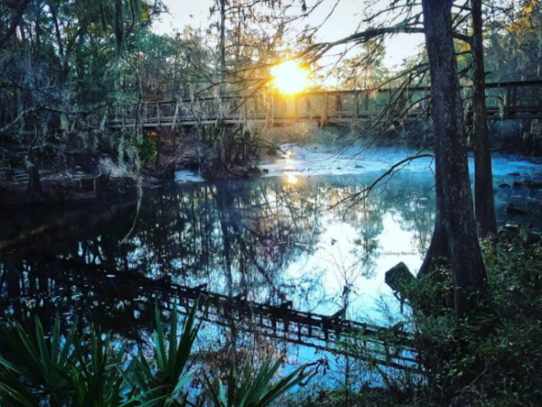 Trek Through Trails: Top 5 Family-Friendly and Dog-Friendly Hikes ...