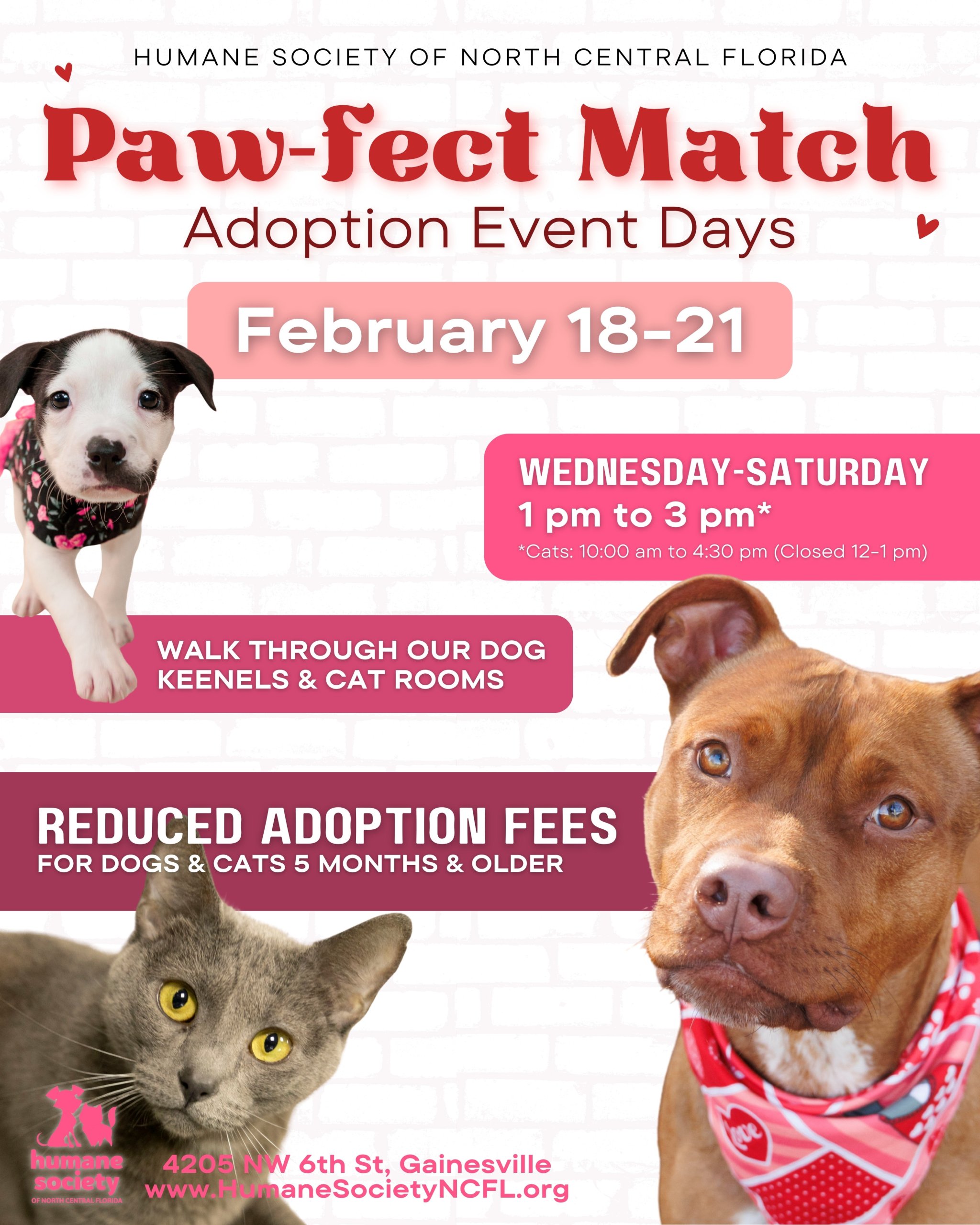 HSNCF Paw-fect Match Adoption Event Days - Visit Gainesville