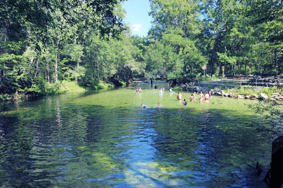 Go For A Swim! - Visit Gainesville